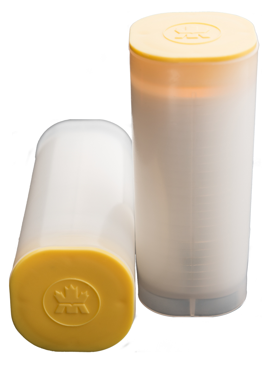 1 oz 2024 Canadian Silver Maple Leaf Tube (25 Coins, 2024) - Border Gold